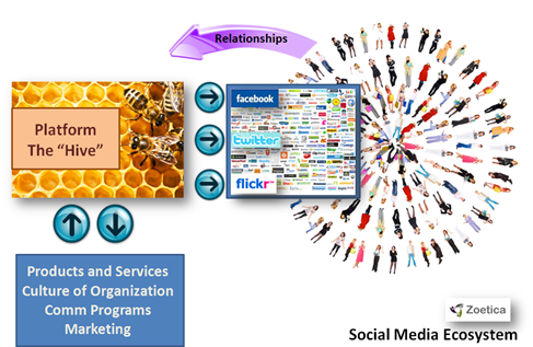 Social Media Ecosystem: When Business Lives Among the People - Zoetica ...